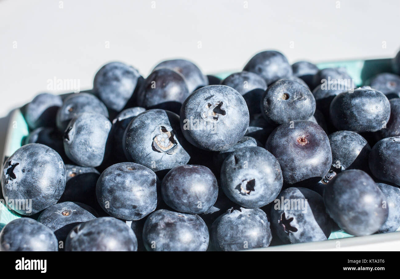 fresh big blueberries Stock Photo - Alamy