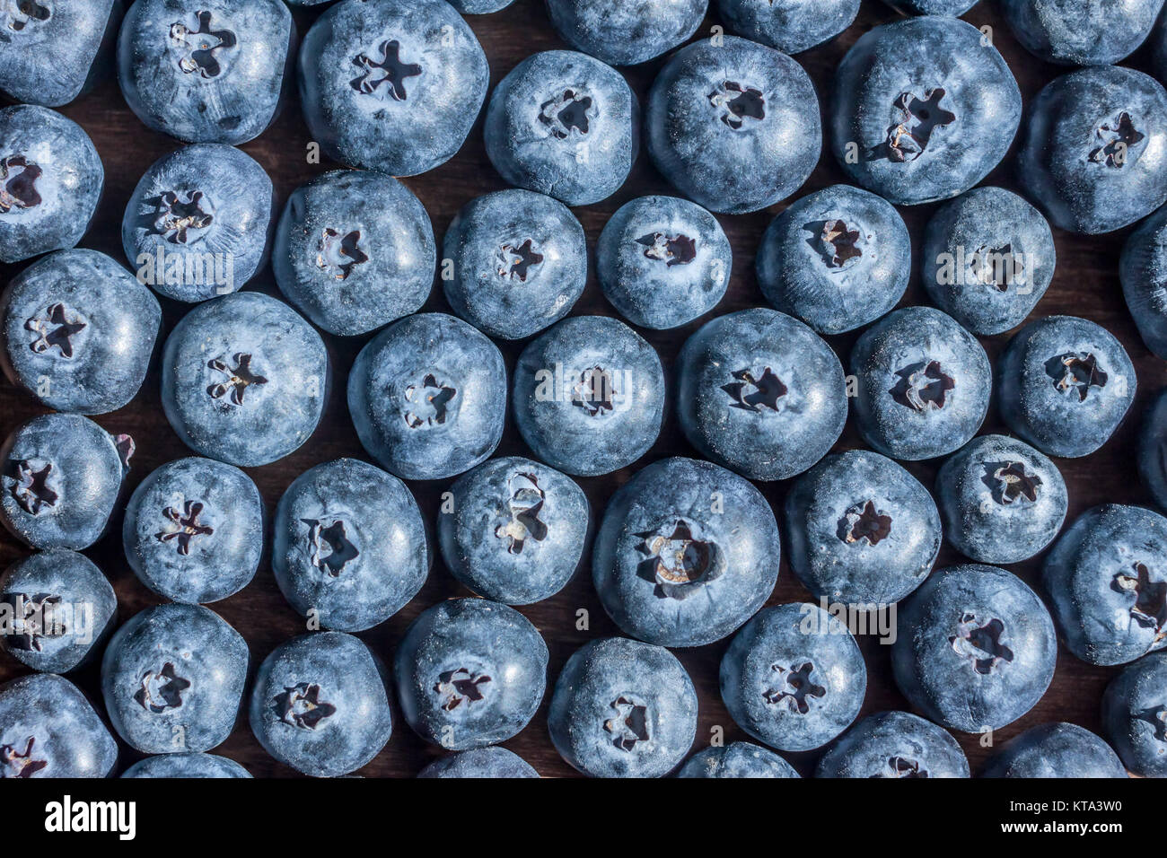 fresh big blueberries Stock Photo - Alamy