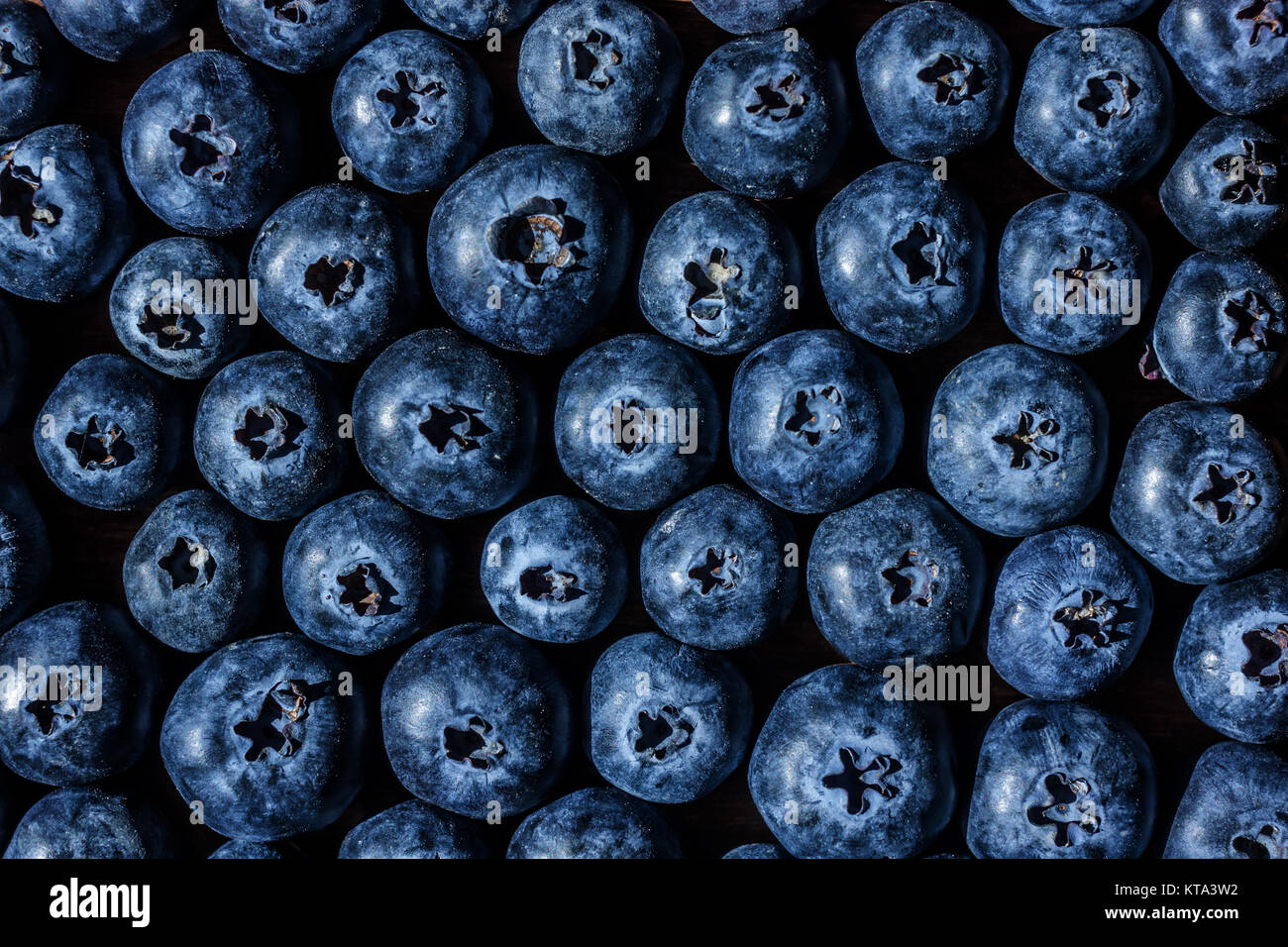 fresh big blueberries Stock Photo - Alamy