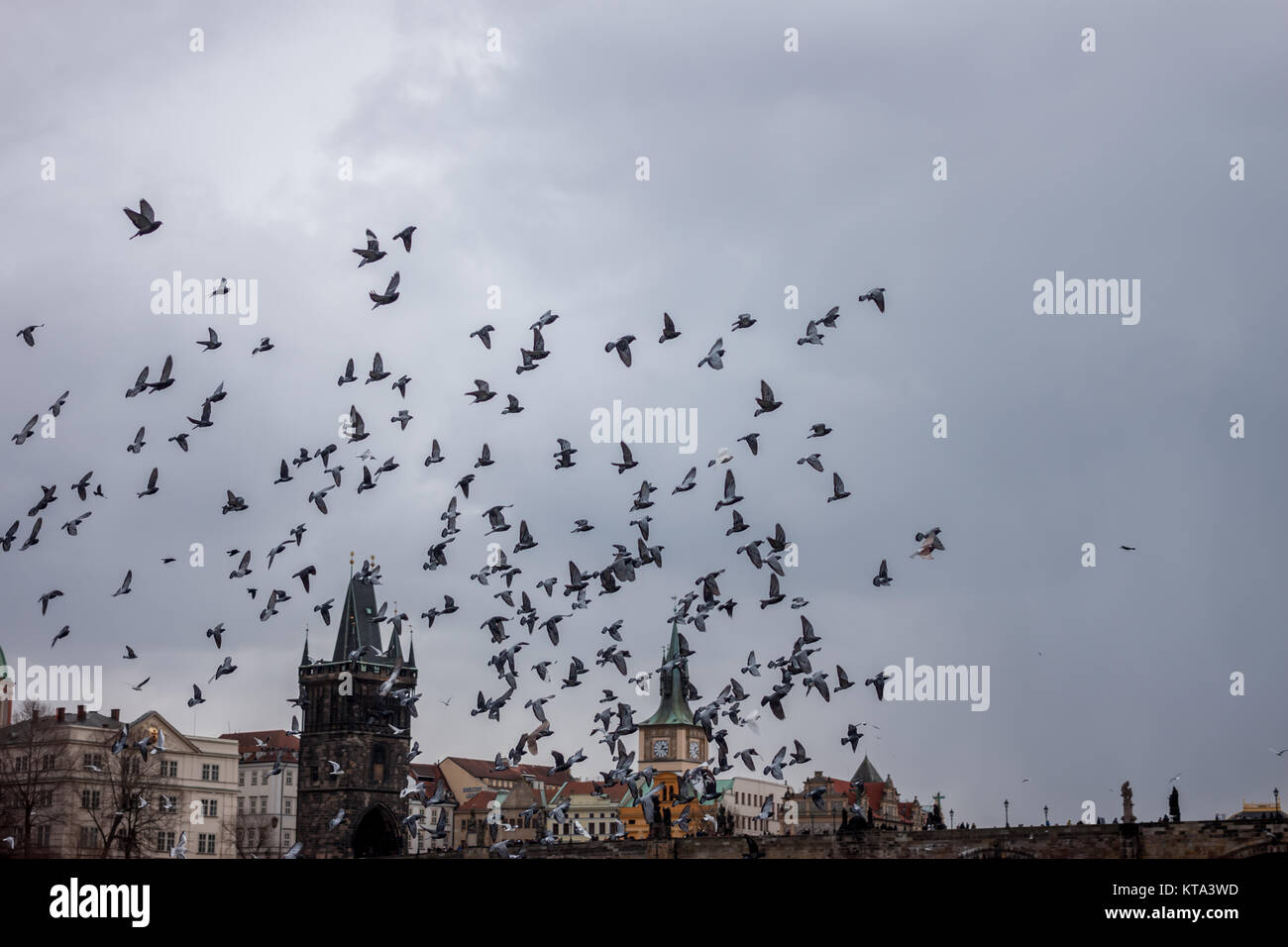 birds flying over Prague Stock Photo - Alamy