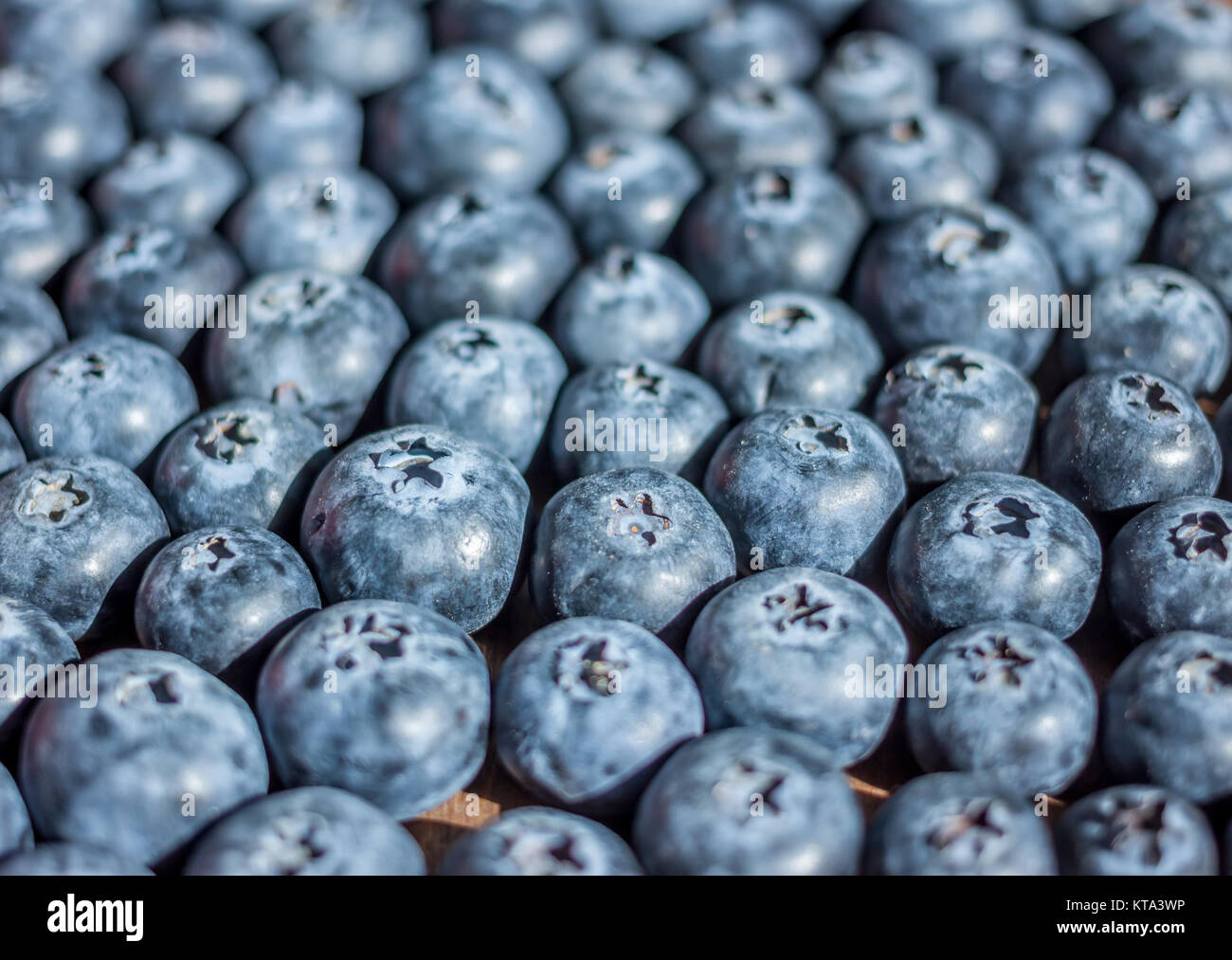 fresh big blueberries selective focus Stock Photo - Alamy