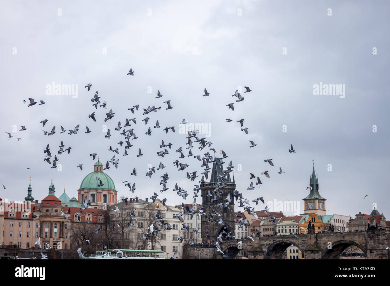 birds flying over Prague Stock Photo - Alamy