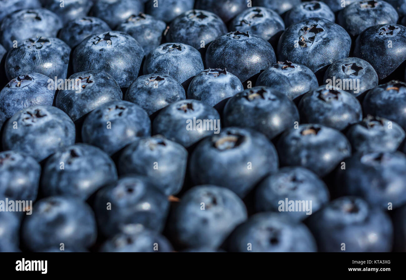fresh big blueberries selective focus Stock Photo - Alamy