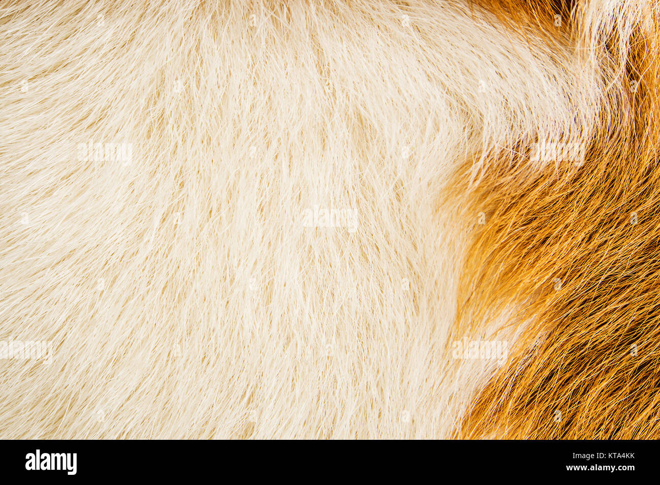 Goat Hair Texture Stock Photos & Goat Hair Texture Stock Images - Alamy