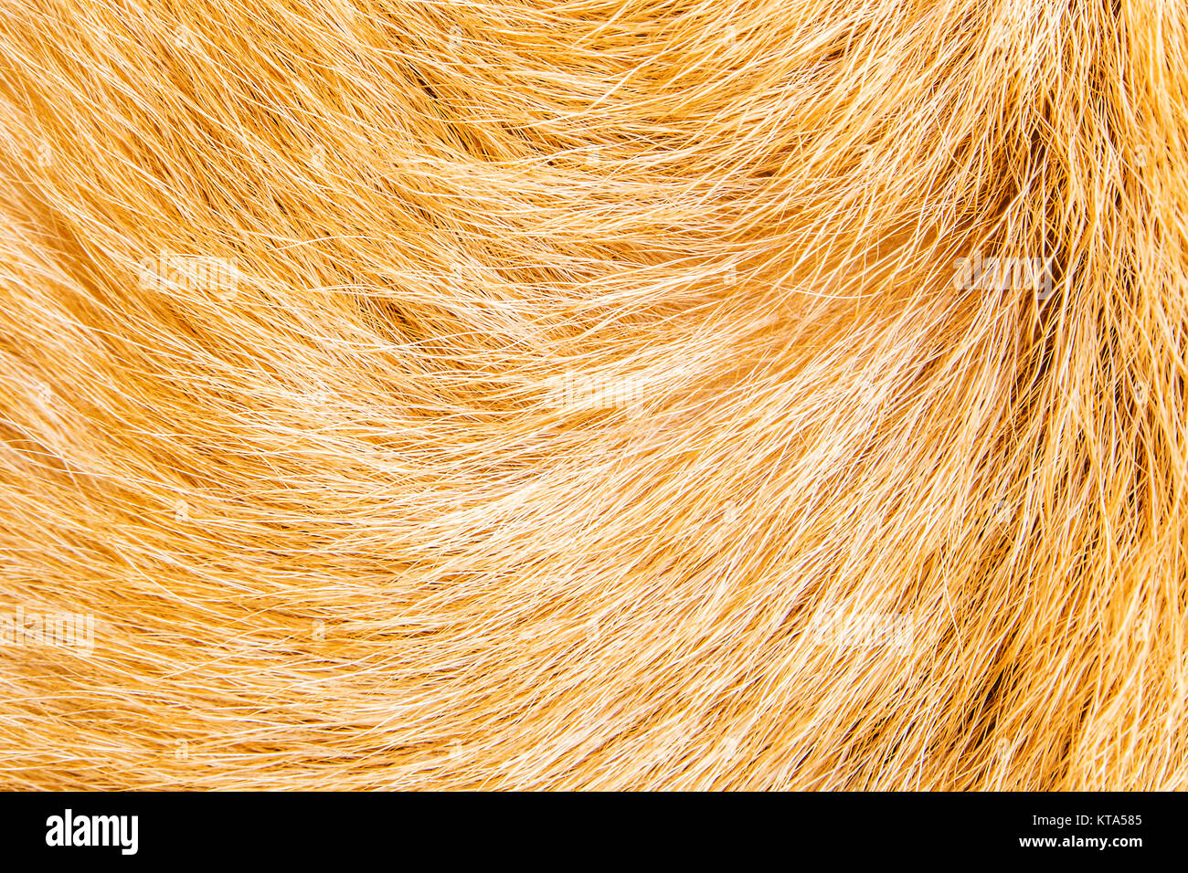 Goat hair material hi-res stock photography and images - Alamy