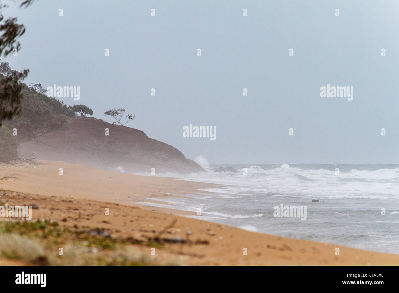 On the beach at Flat Rock - Deepwater National Park Stock Photo - Alamy