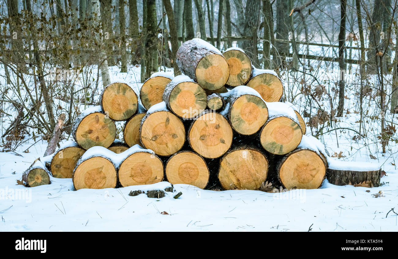 Winter Camping And A Pile Of Logs Stock Photo - Alamy
