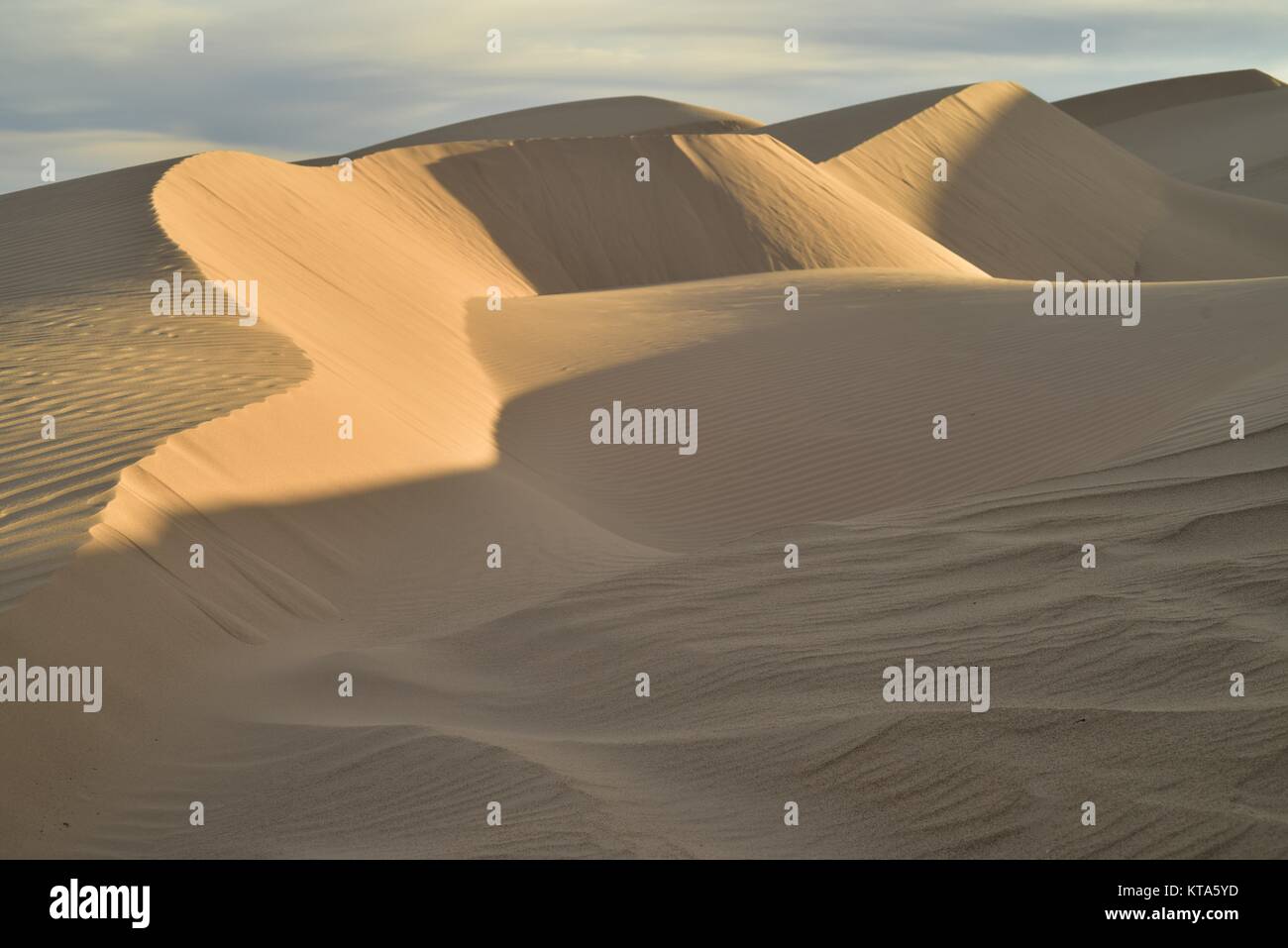sand dunes early morning Imperial Sand Dunes, California, USA Stock ...