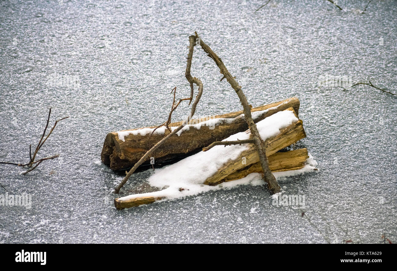 Logs In Ice Stock Photo - Alamy