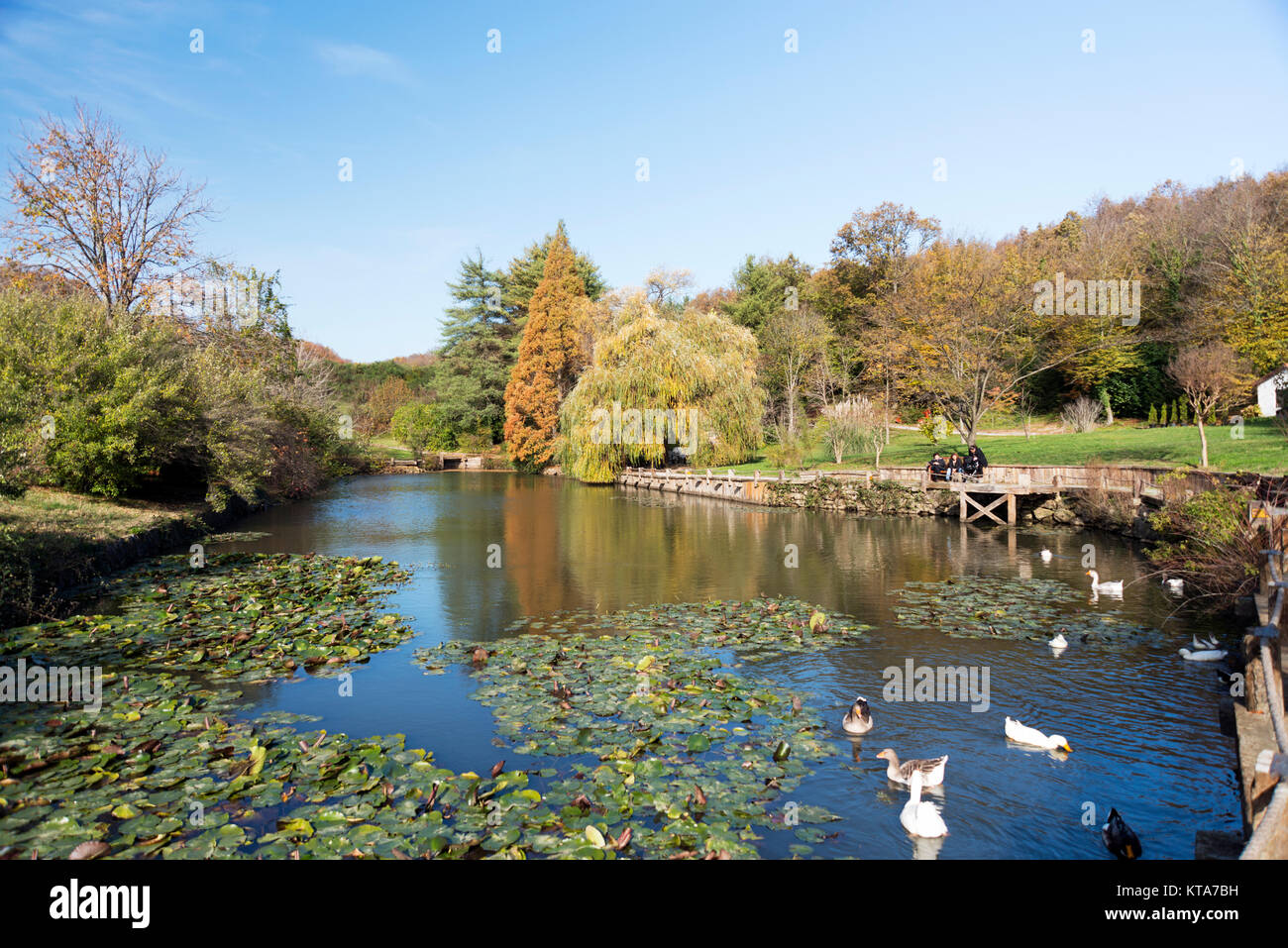 Autumn, also known as fall.Some cultures regard the autumnal equinox as ...