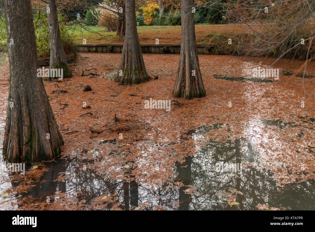 Autumn, also known as fall.Some cultures regard the autumnal equinox as ...