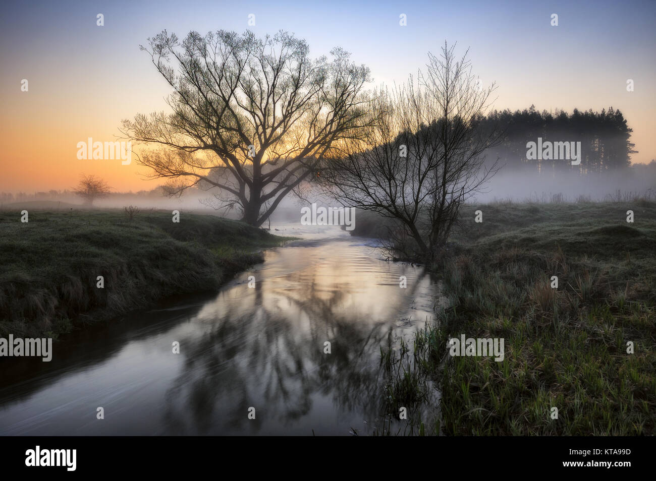 spring morning. a picturesque dawn by the river Stock Photo - Alamy