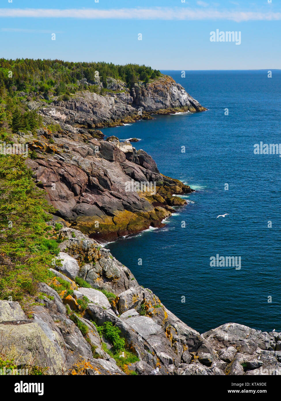 Clyde coastal trail hi-res stock photography and images - Alamy