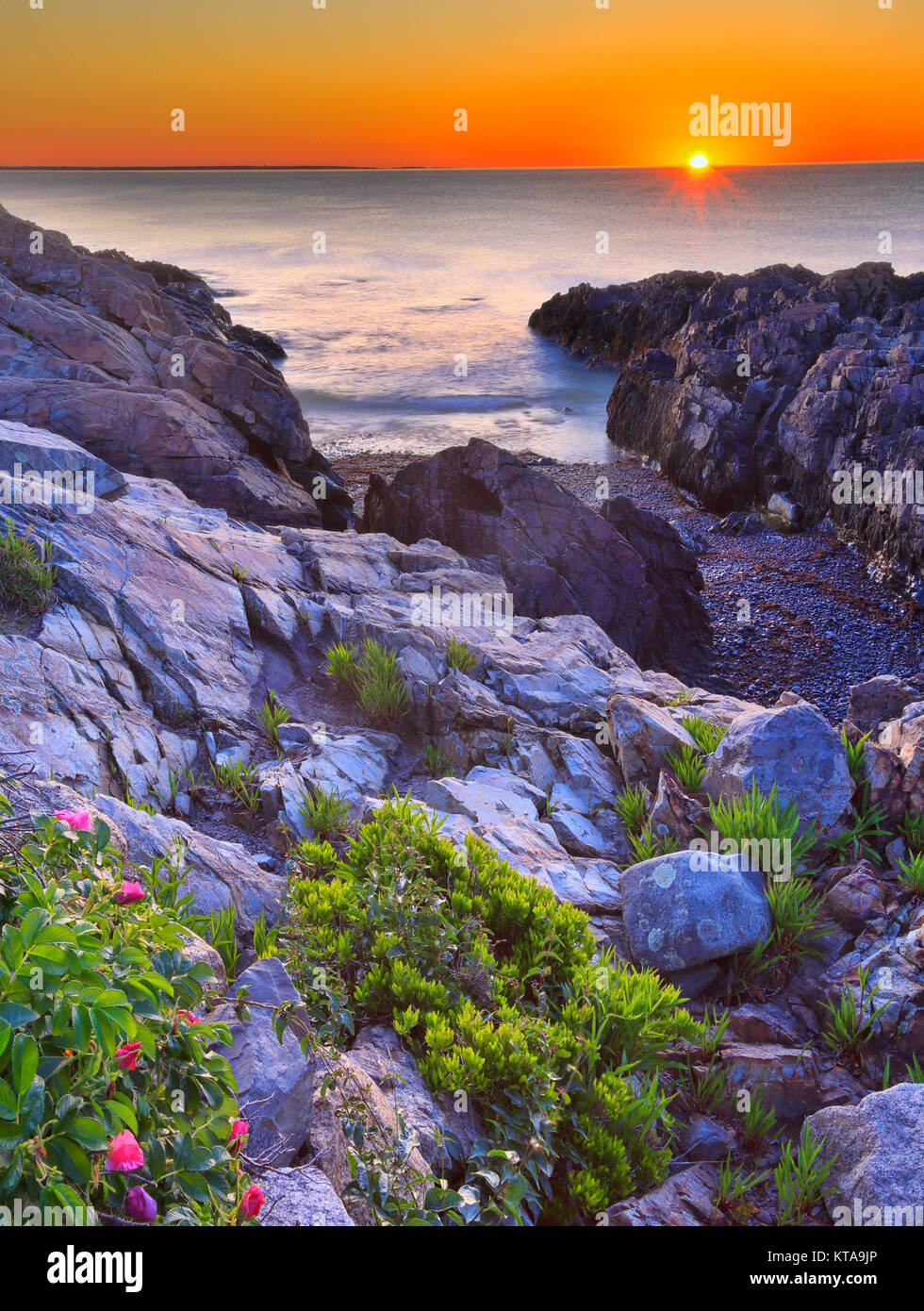Sunrise, Marginal Way, Ogunquit, Maine, USA Stock Photo - Alamy