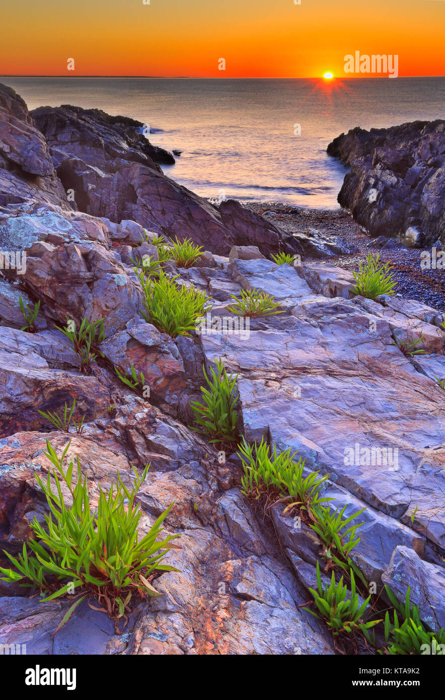 Sunrise, Marginal Way, Ogunquit, Maine, USA Stock Photo - Alamy