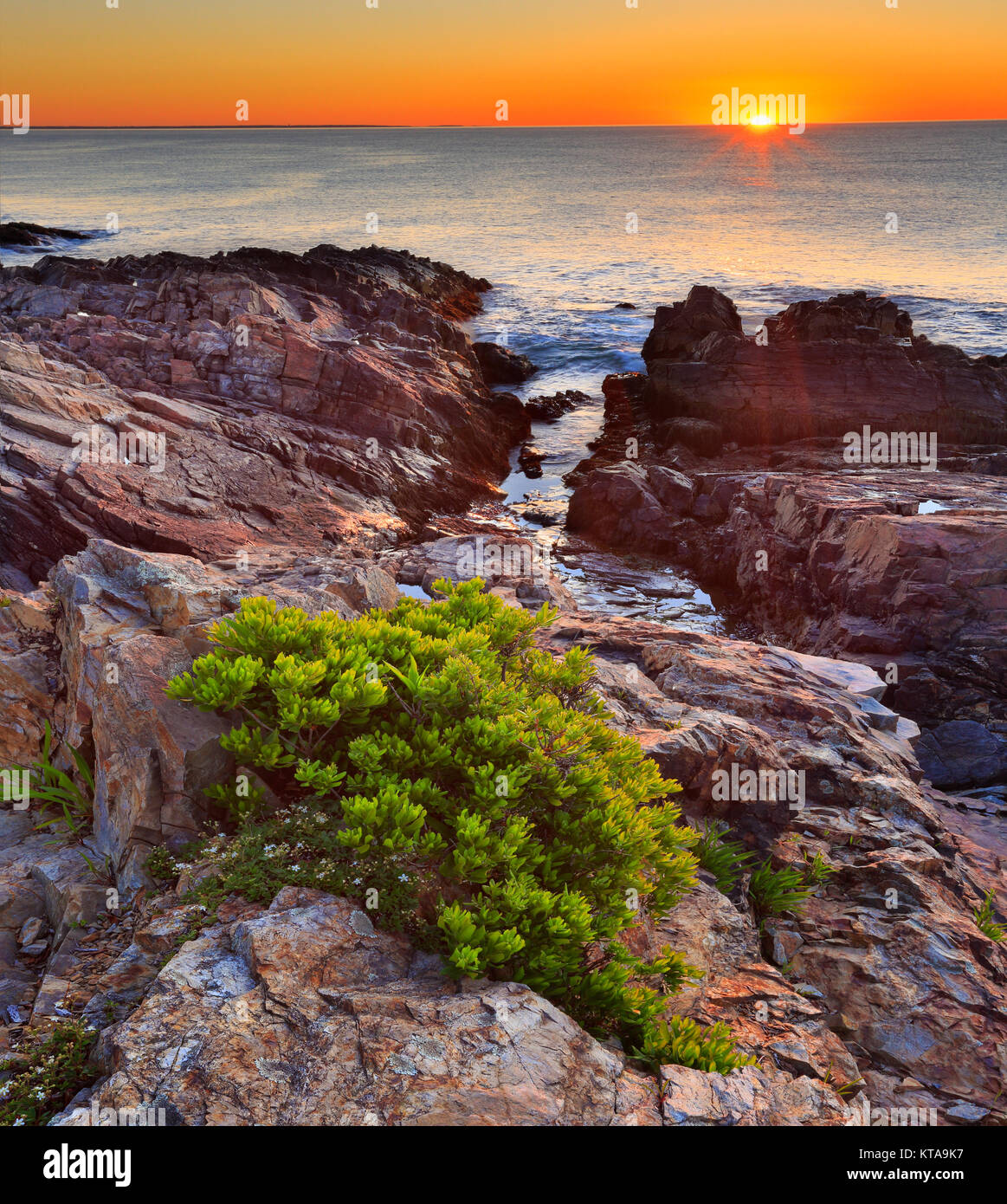 Marginal way ogunquit hi-res stock photography and images - Alamy