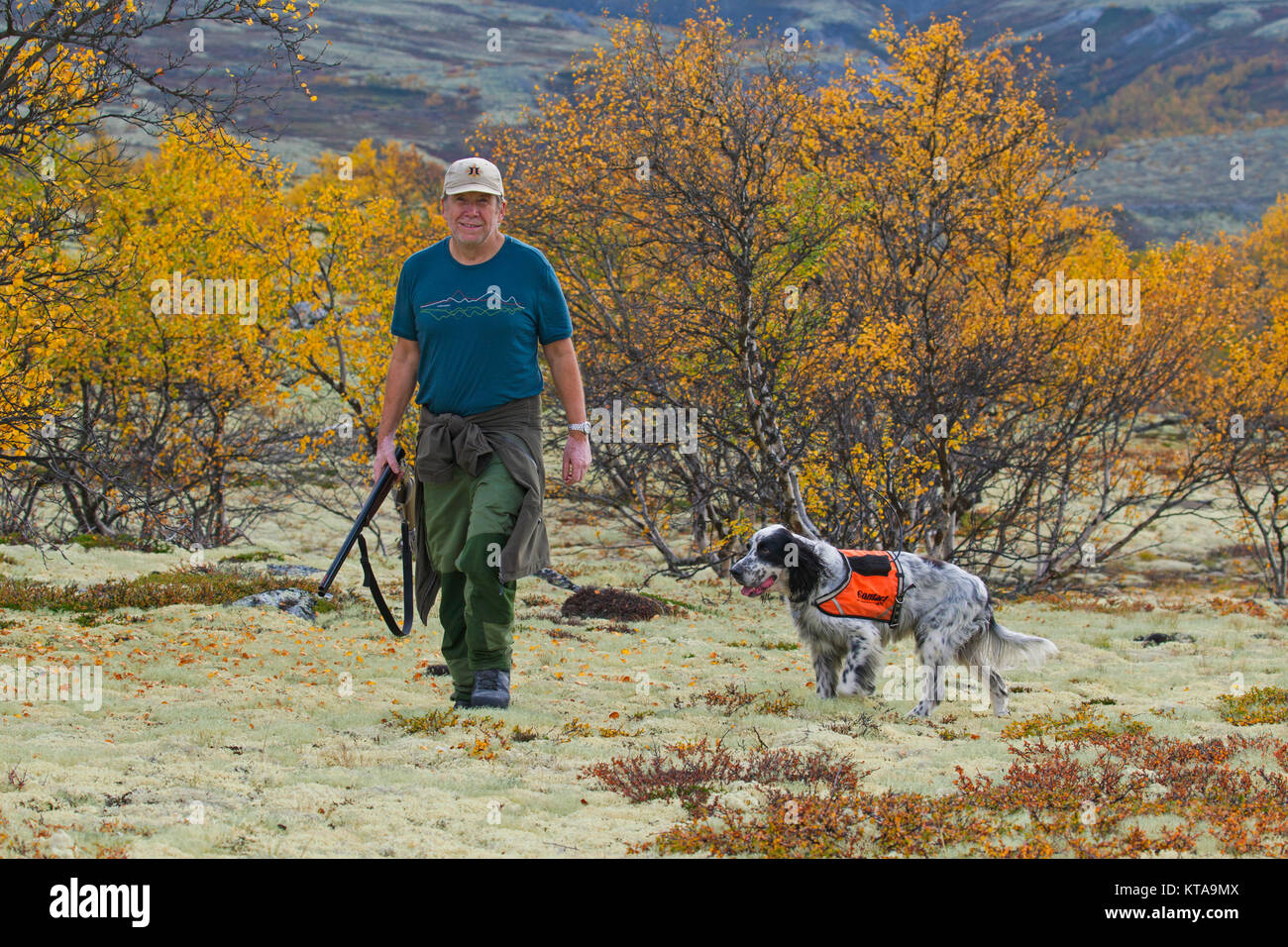Norwegian hunter with shotgun and English Setter dog hunting grouse on ...