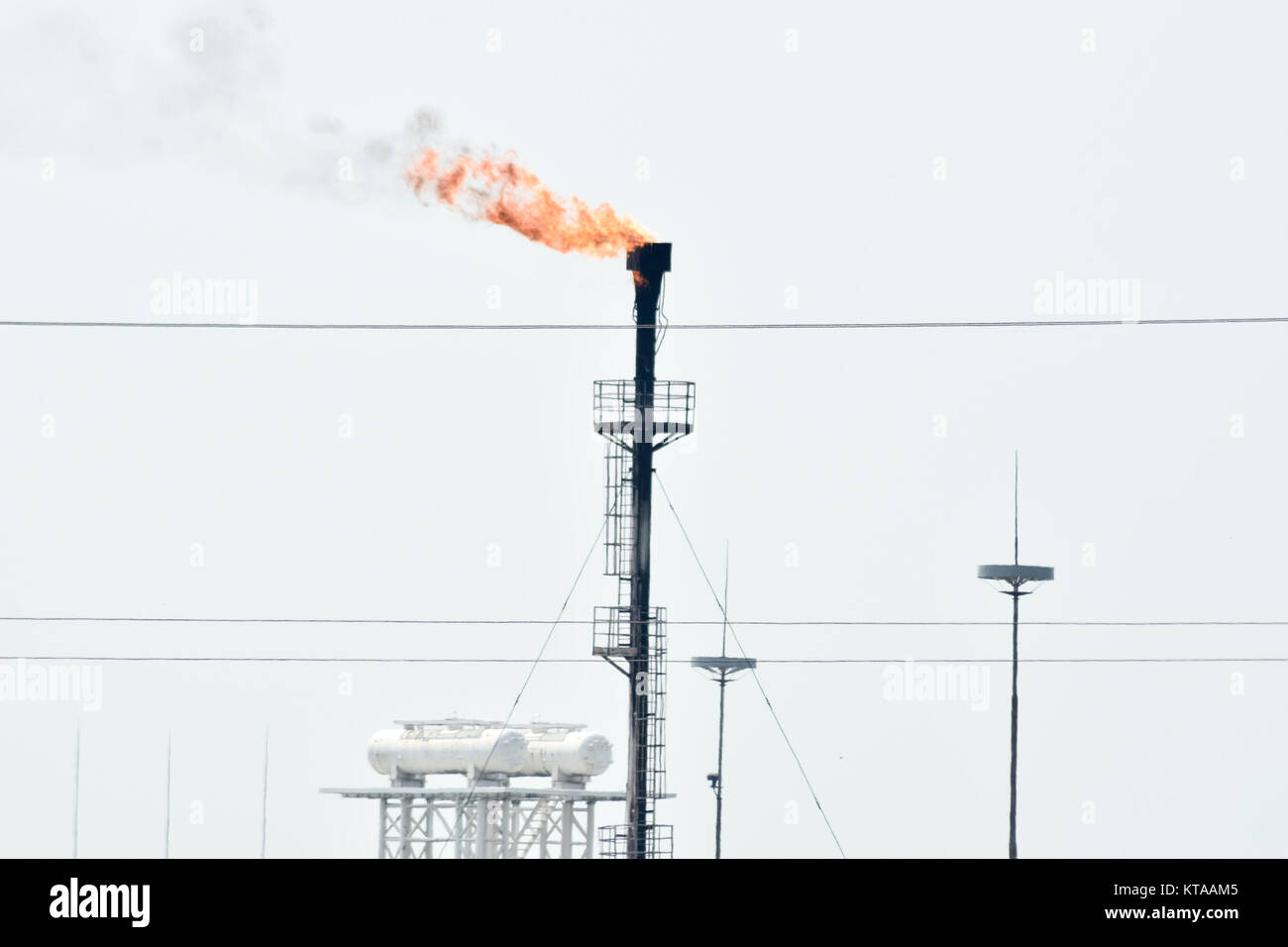 Burning torch plant processing hi-res stock photography and images - Alamy