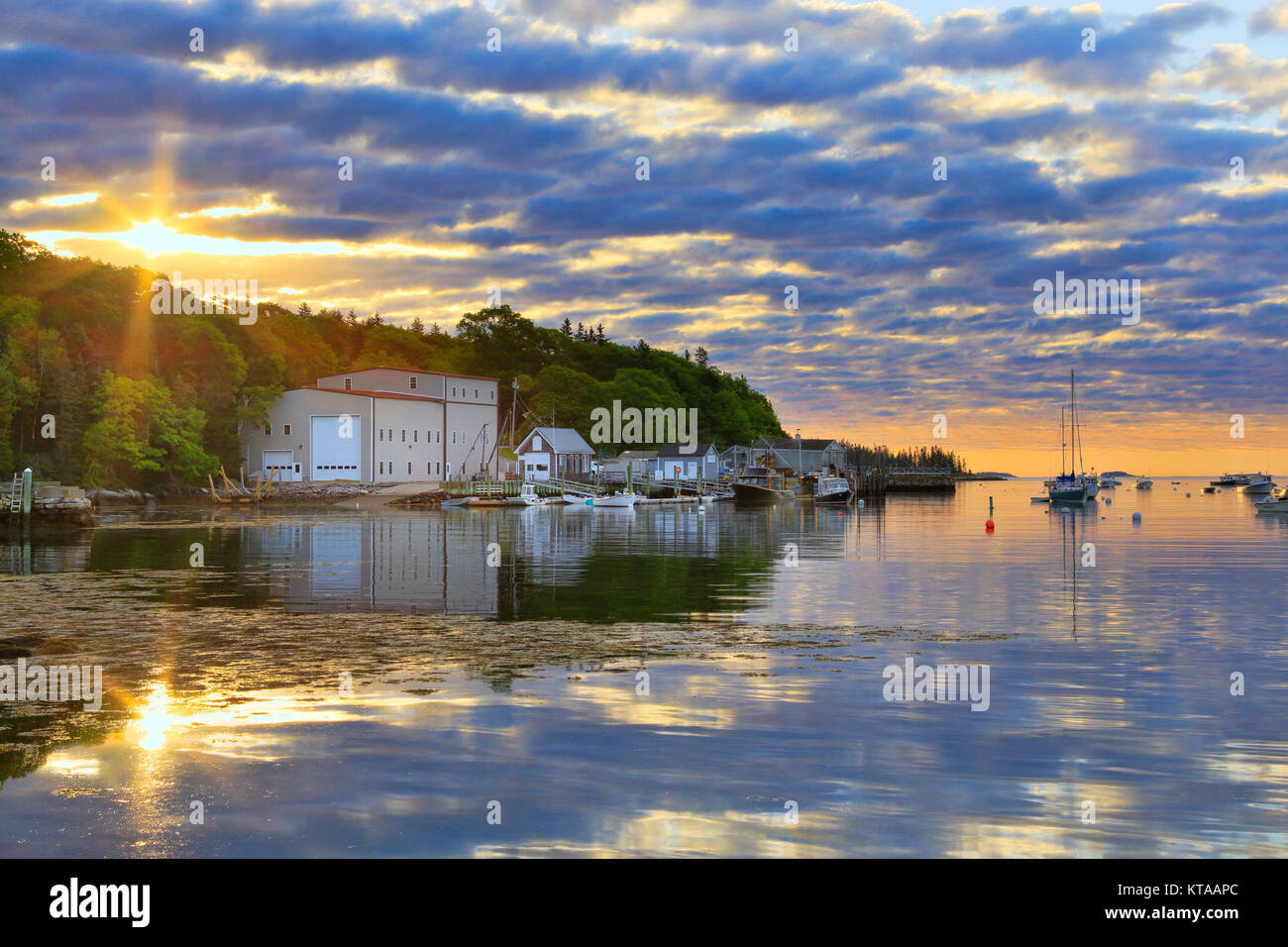 Tenants harbor hi-res stock photography and images - Alamy