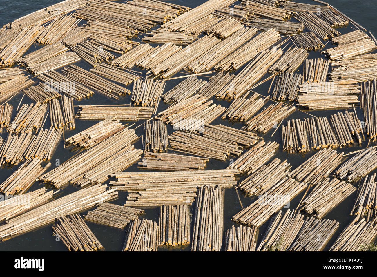 Logging forestry log booms hi-res stock photography and images - Alamy
