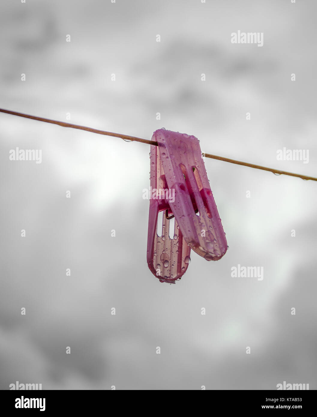 Wet Clothesline With Clothes Peg Stock Photos & Wet Clothesline With ...