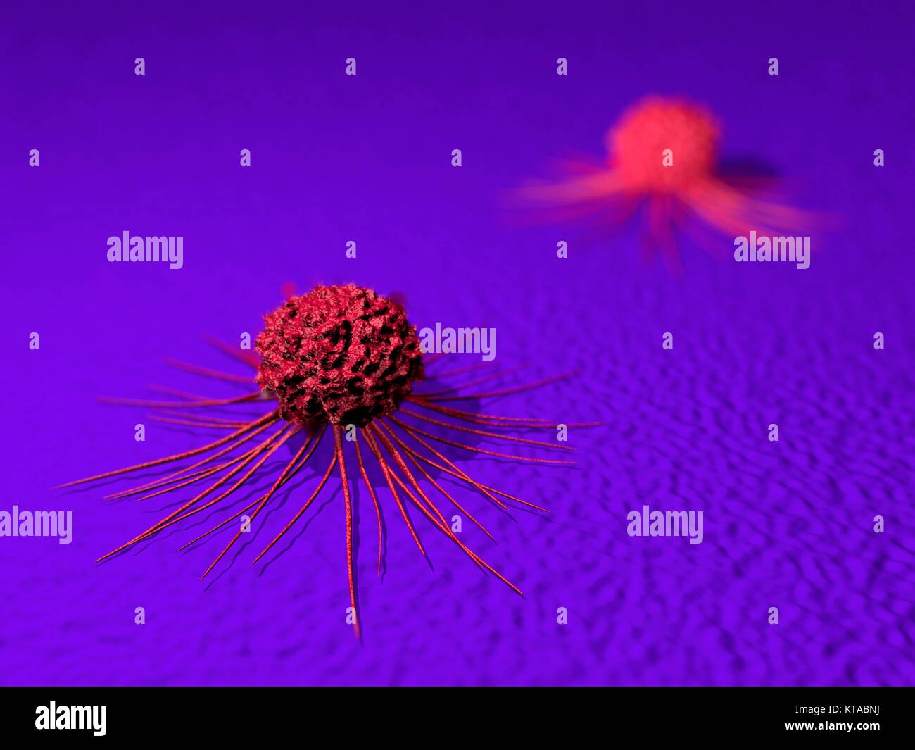 Cancer cells. Computer illustration of a cancer cell. Most cells of the ...