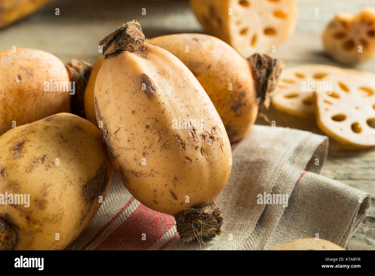 Raw Brown Organic Lotus Root Ready to Cook Stock Photo - Alamy
