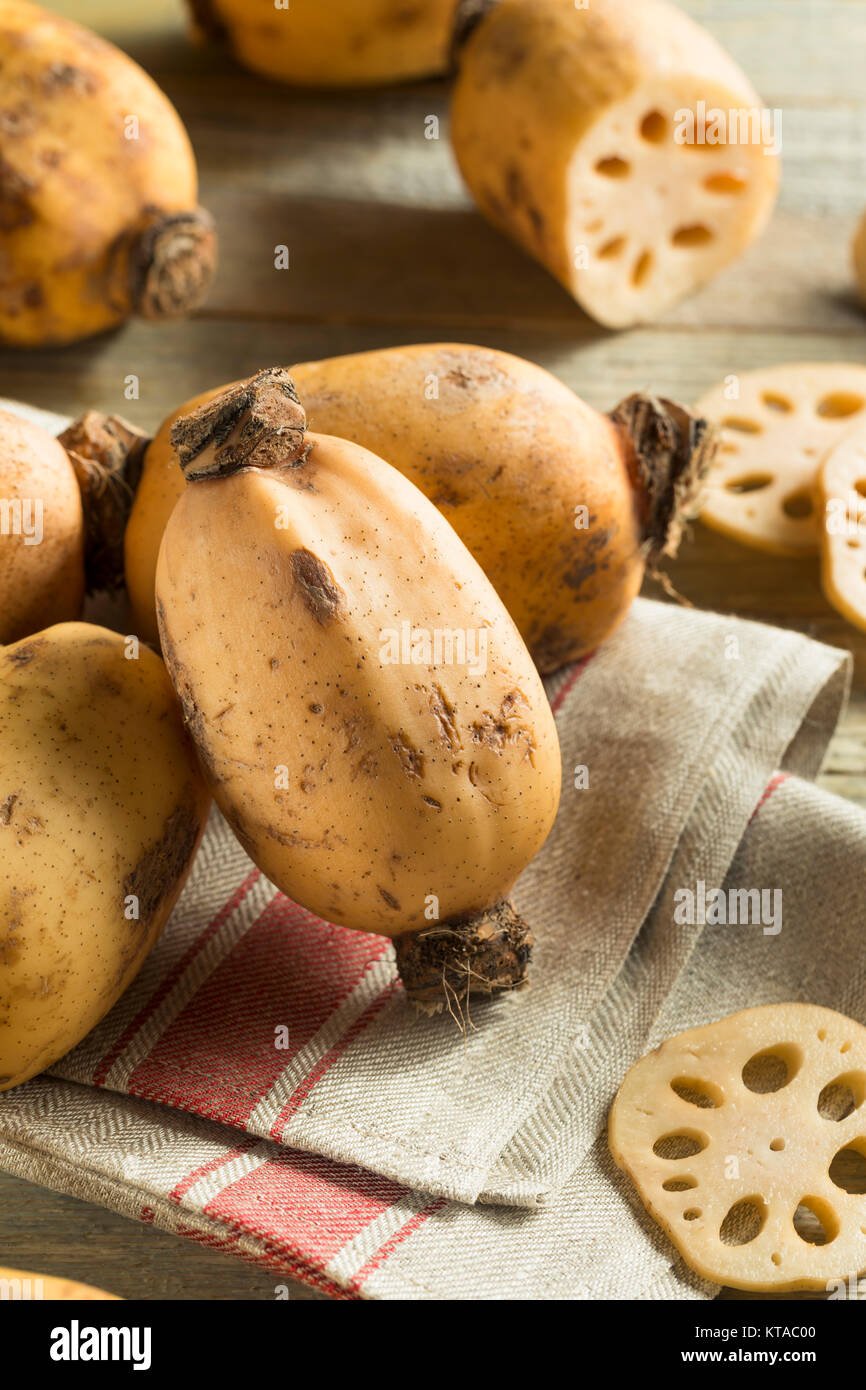 Raw Brown Organic Lotus Root Ready to Cook Stock Photo - Alamy