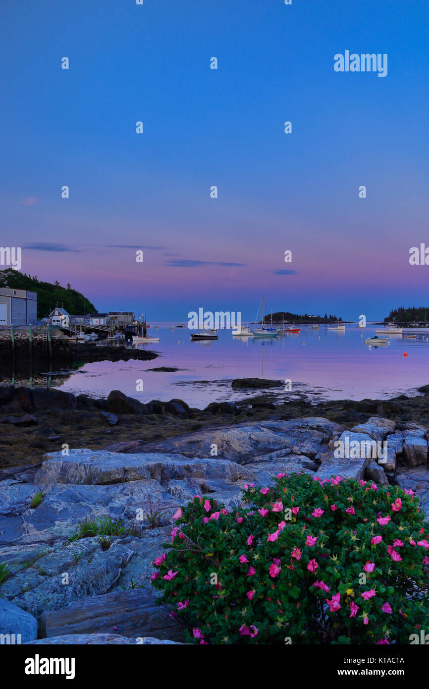 Harbor, Tenants Harbor, Maine, USA Stock Photo - Alamy