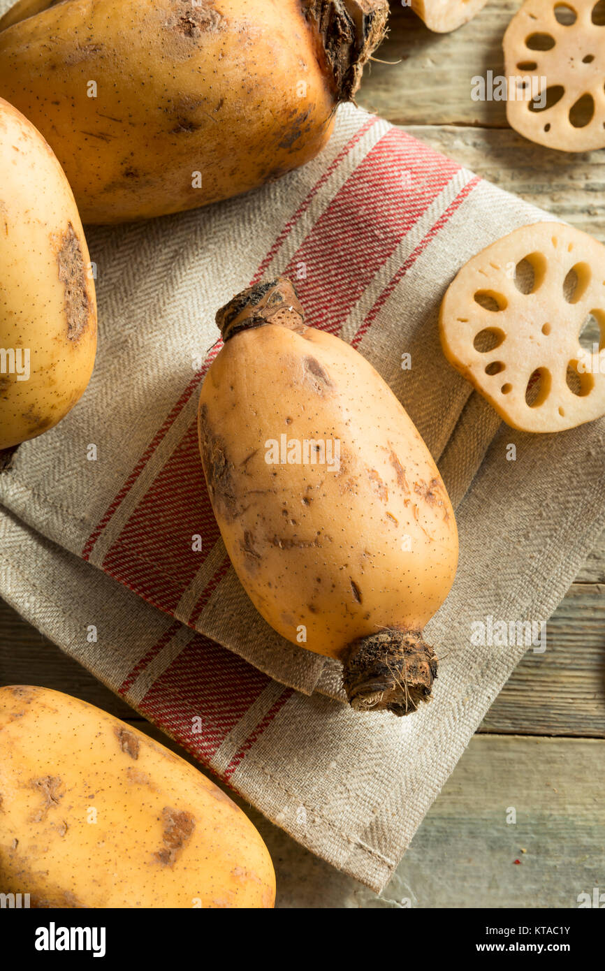Raw Brown Organic Lotus Root Ready to Cook Stock Photo - Alamy