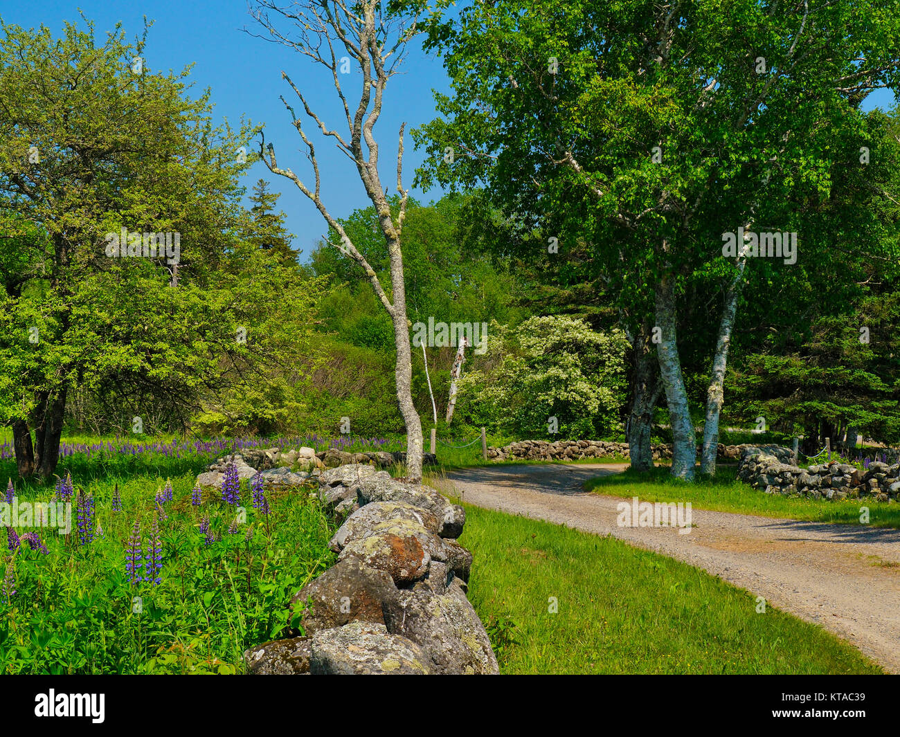 Tenants Harbor, Maine, USA Stock Photo - Alamy