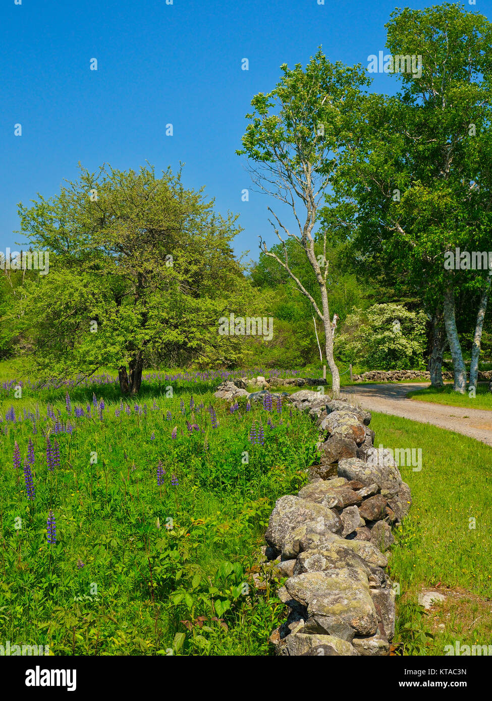 Tenants harbor hi-res stock photography and images - Alamy