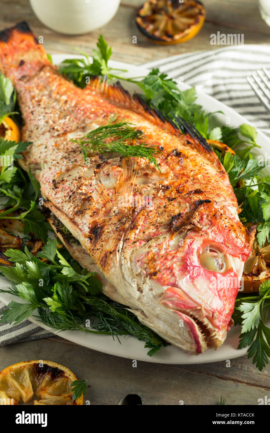 Homemade Grilled Whole Red Snapper with Lemons and Dill Stock Photo - Alamy