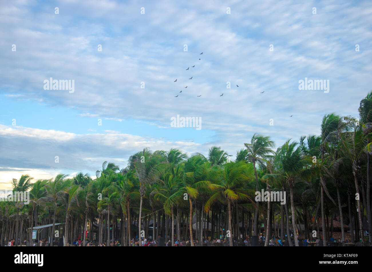 Fortaleza, Brazil, jul 8, 2017: Birds flying high over people by the ...