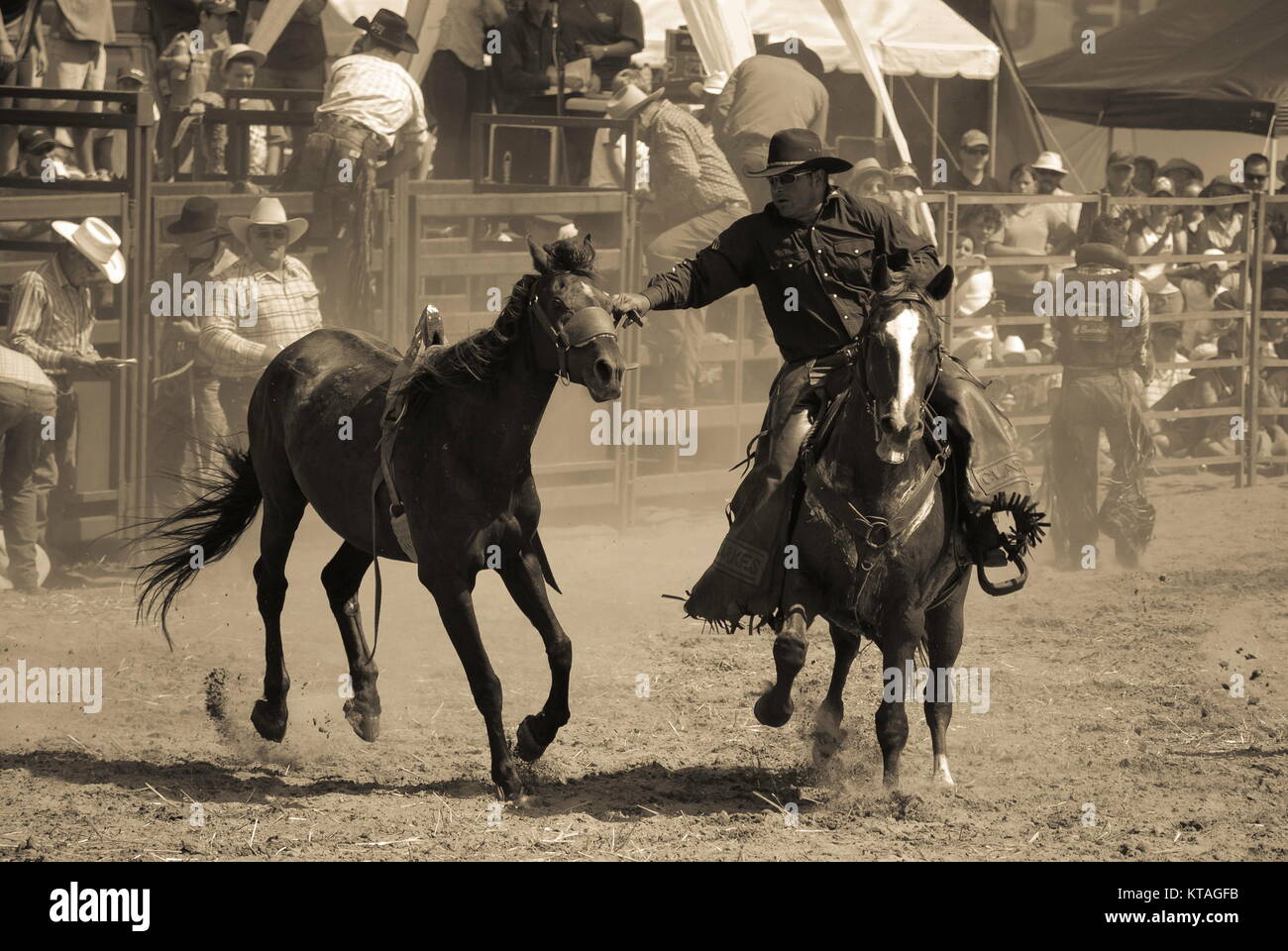 Thrown off horse hi-res stock photography and images - Alamy