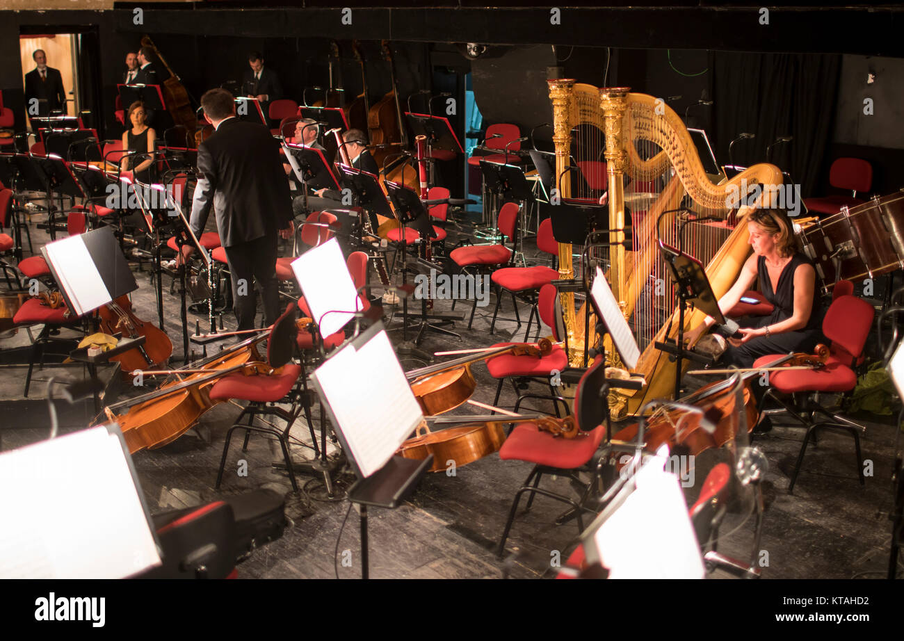 Orchestra Pit Silhouette