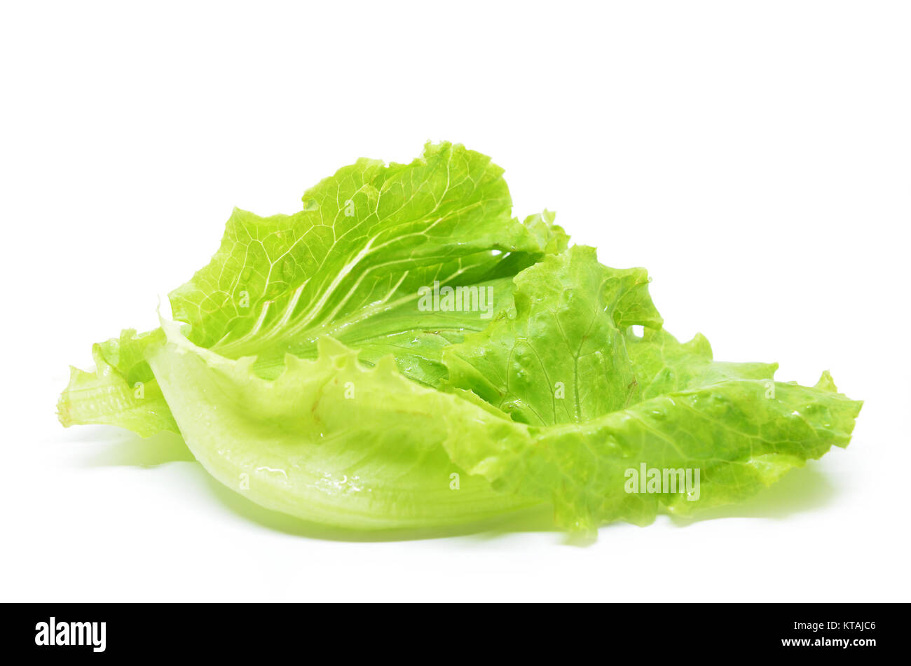 Green Chinese lettuce Stock Photo - Alamy