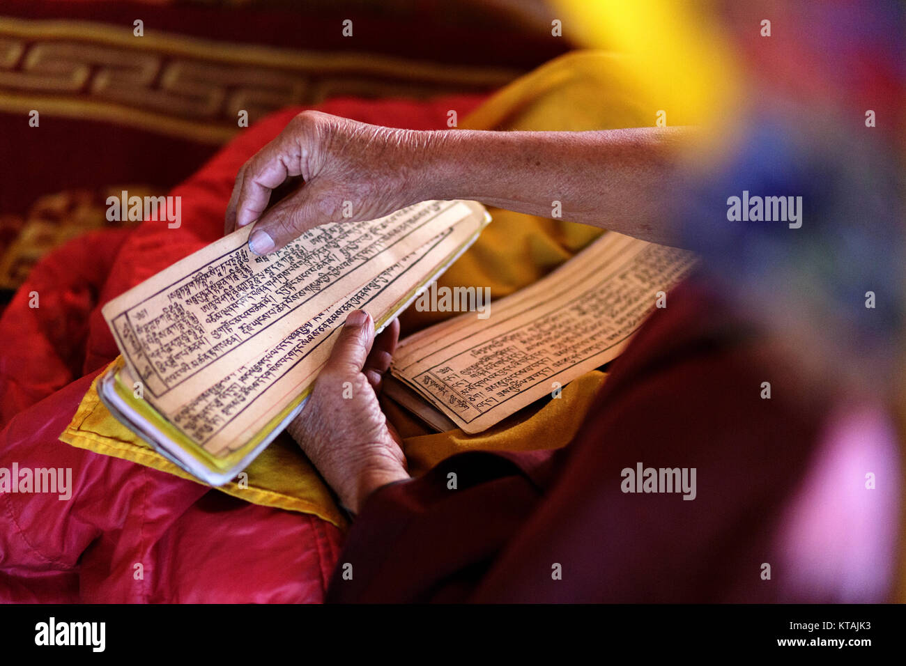 Buddhist monk reading sutras, at the Diskit Monastery, Nubra Valley ...
