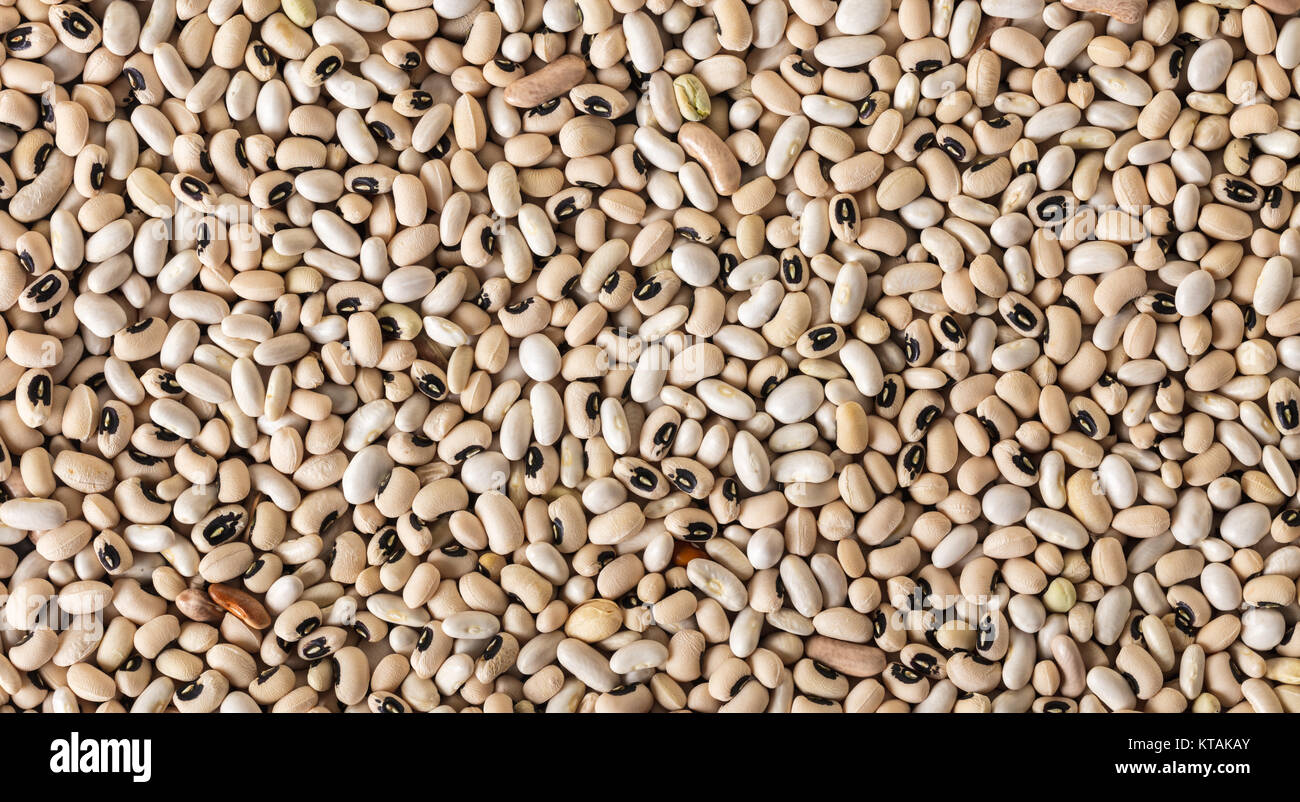 food background of a white bean texture closeup Stock Photo - Alamy