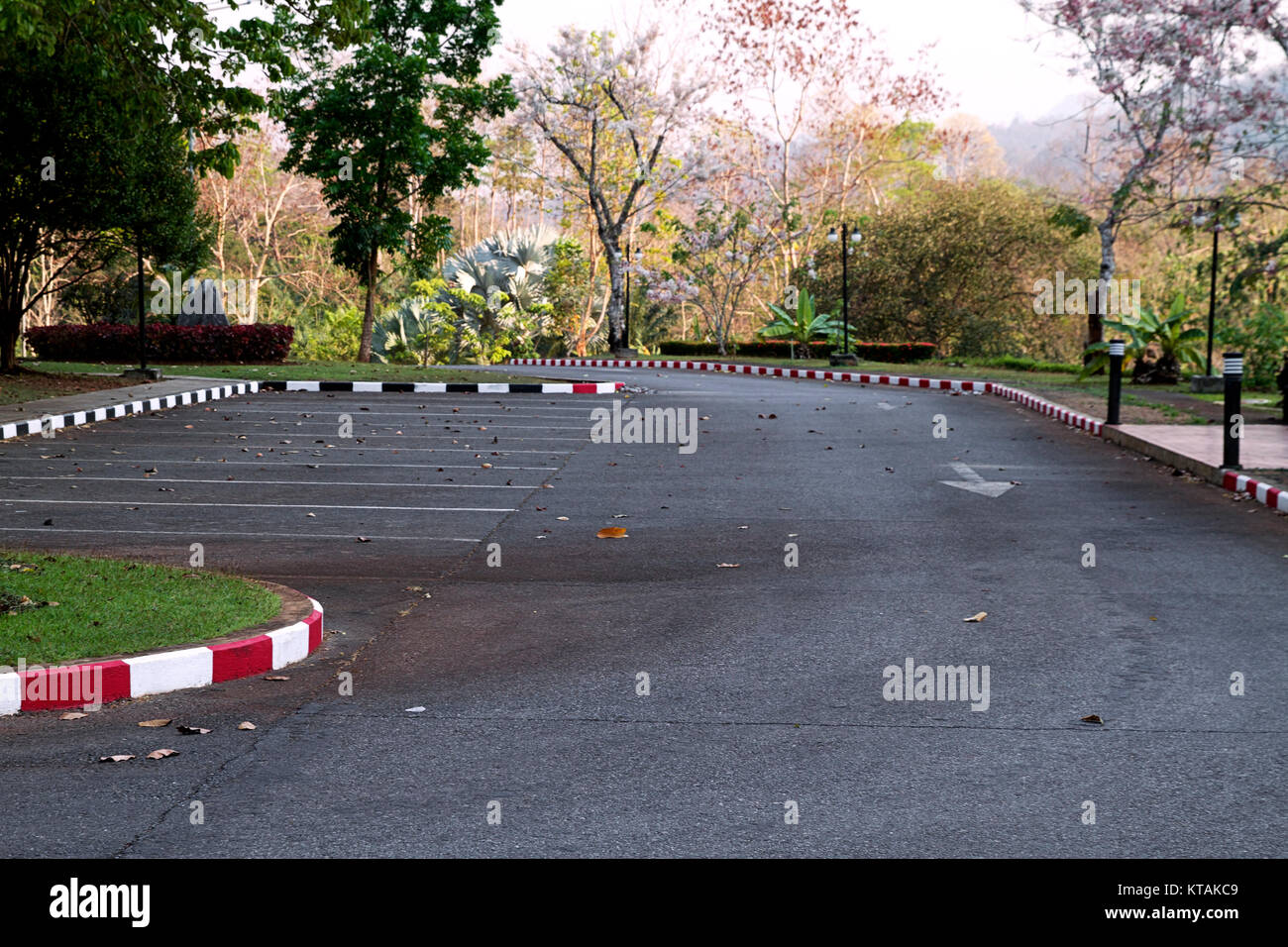parking lot empty trees vegetation Stock Photo - Alamy