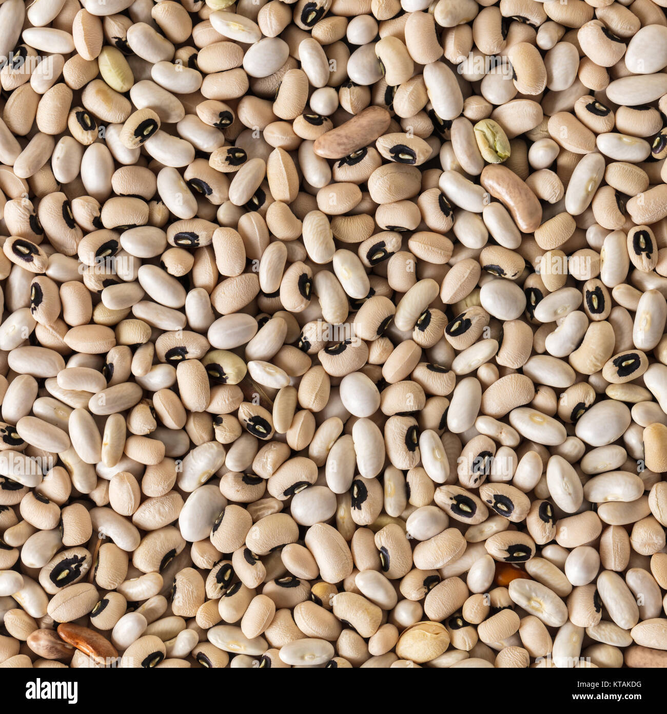 food background of a white bean texture closeup Stock Photo - Alamy