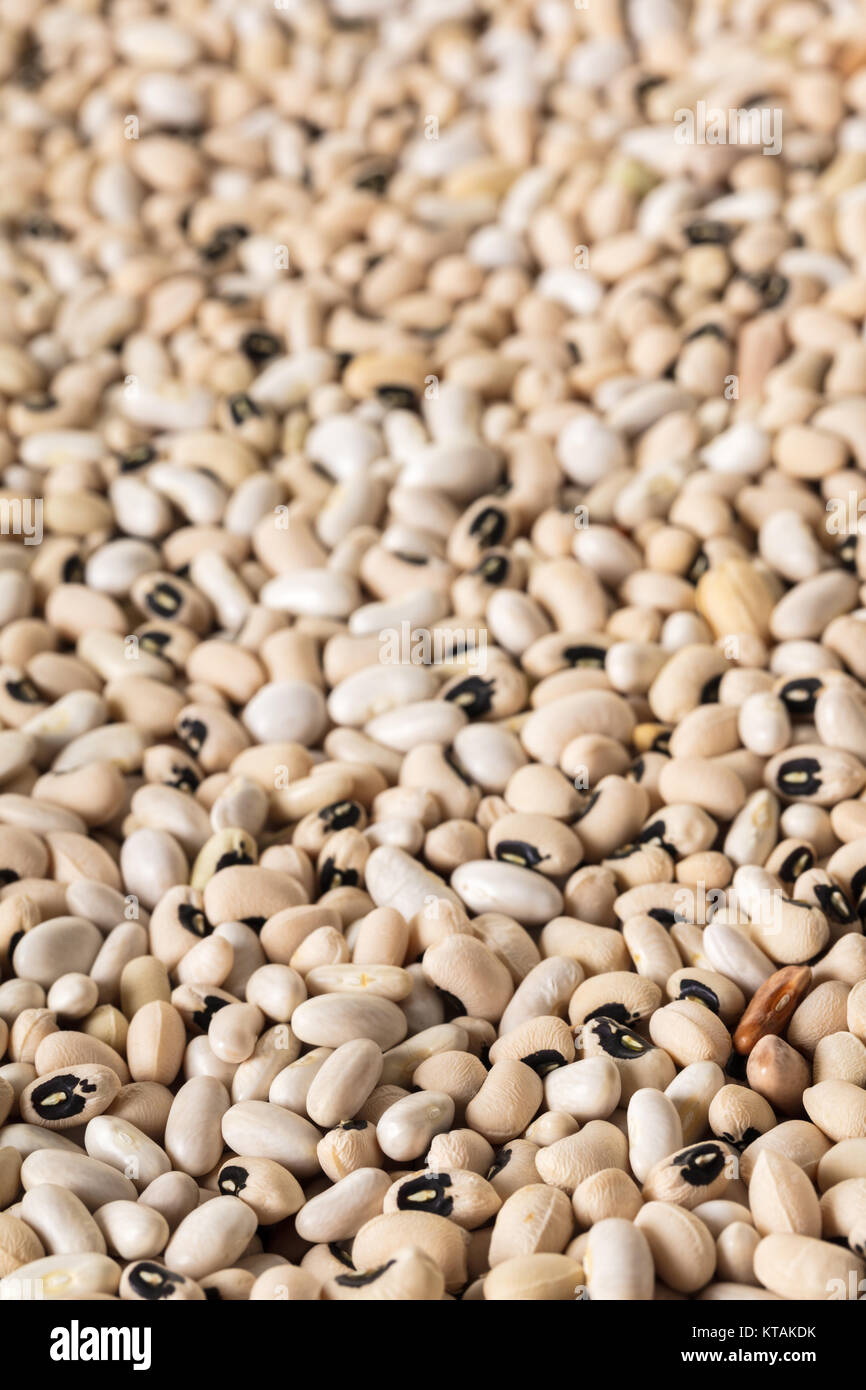 food background of a white bean texture closeup Stock Photo - Alamy