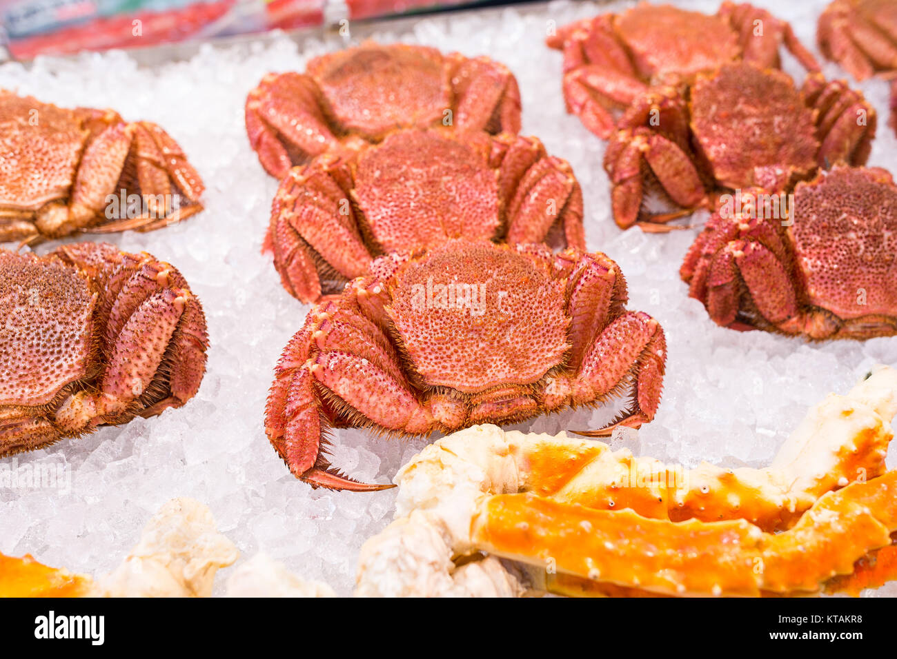 Horsehair crab hi-res stock photography and images - Alamy
