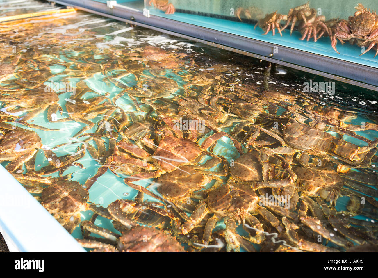 Fresh snow crab in fish market Stock Photo - Alamy