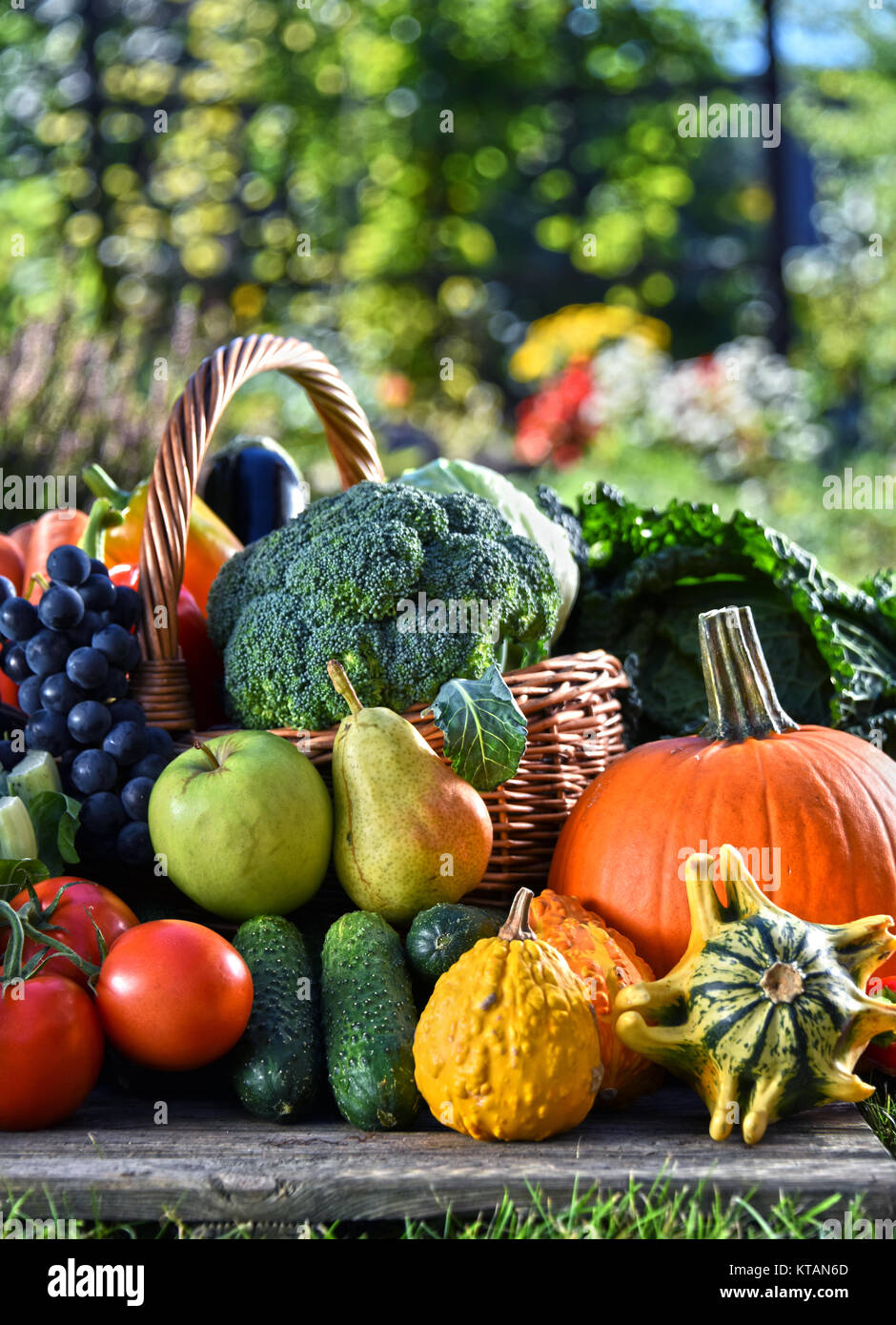 Variety of fresh organic vegetables and fruits in the garden Stock ...