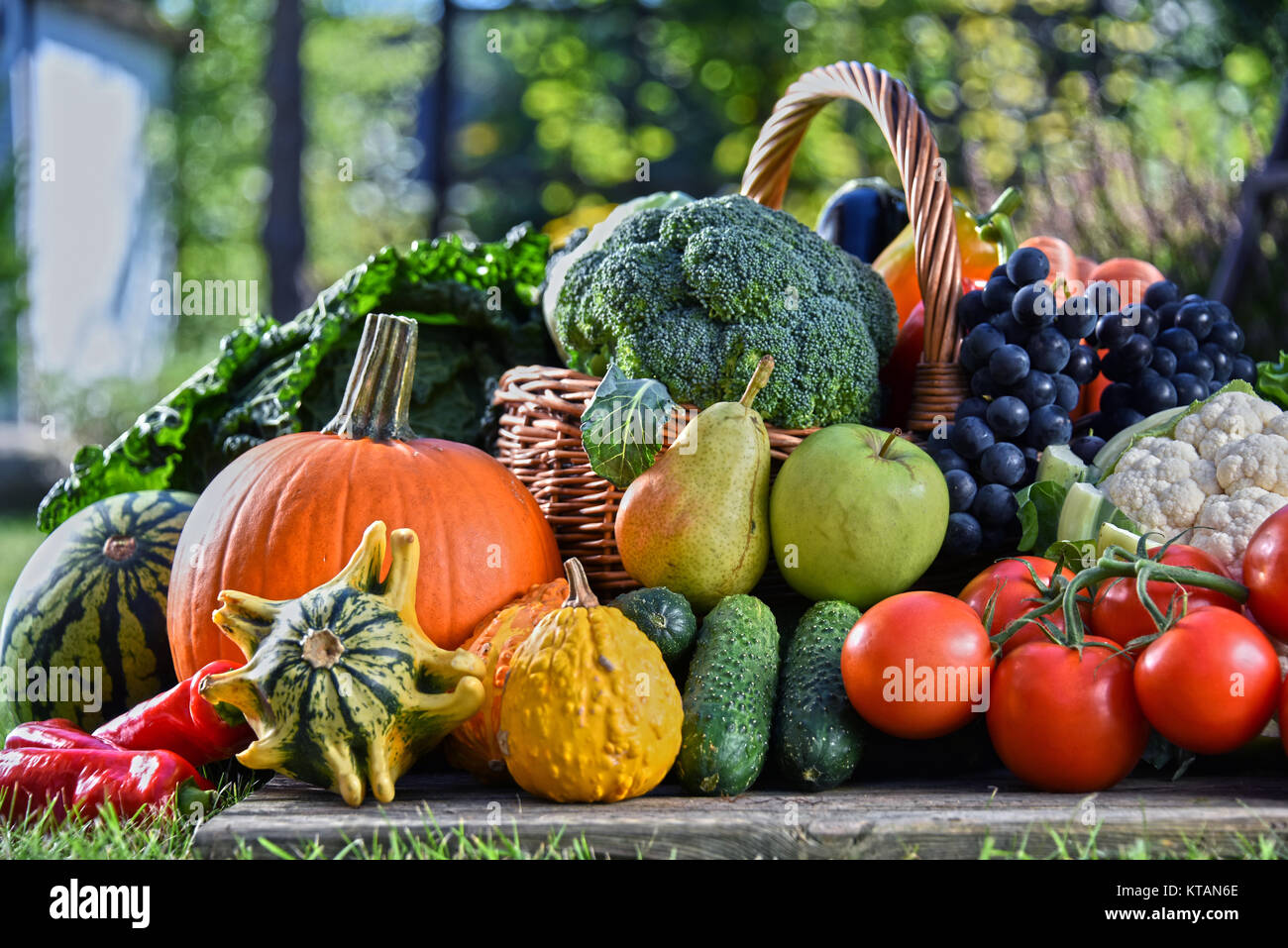 Variety of fresh organic vegetables and fruits in the garden Stock ...