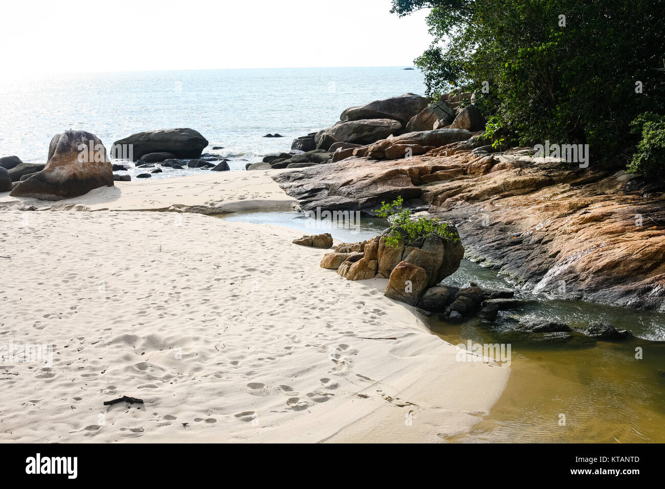Malaysia tropic beach with crystal clear sea Stock Photo - Alamy