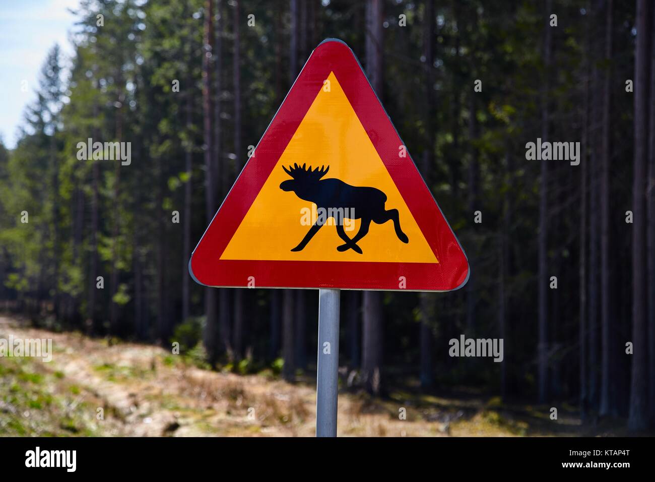 Moose deer sign traffic road hi-res stock photography and images - Alamy