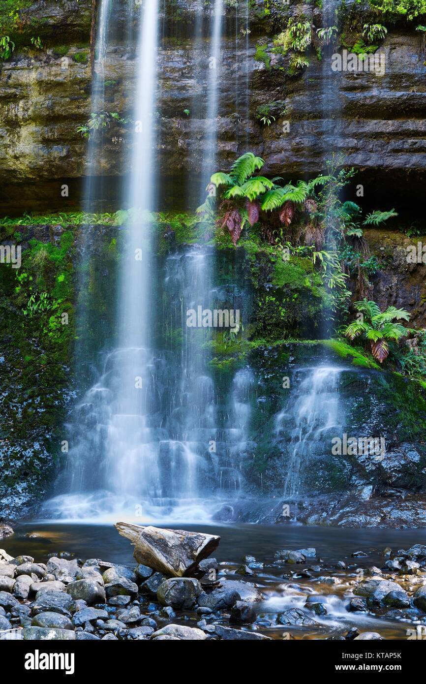 Waterfall in the forest Stock Photo - Alamy