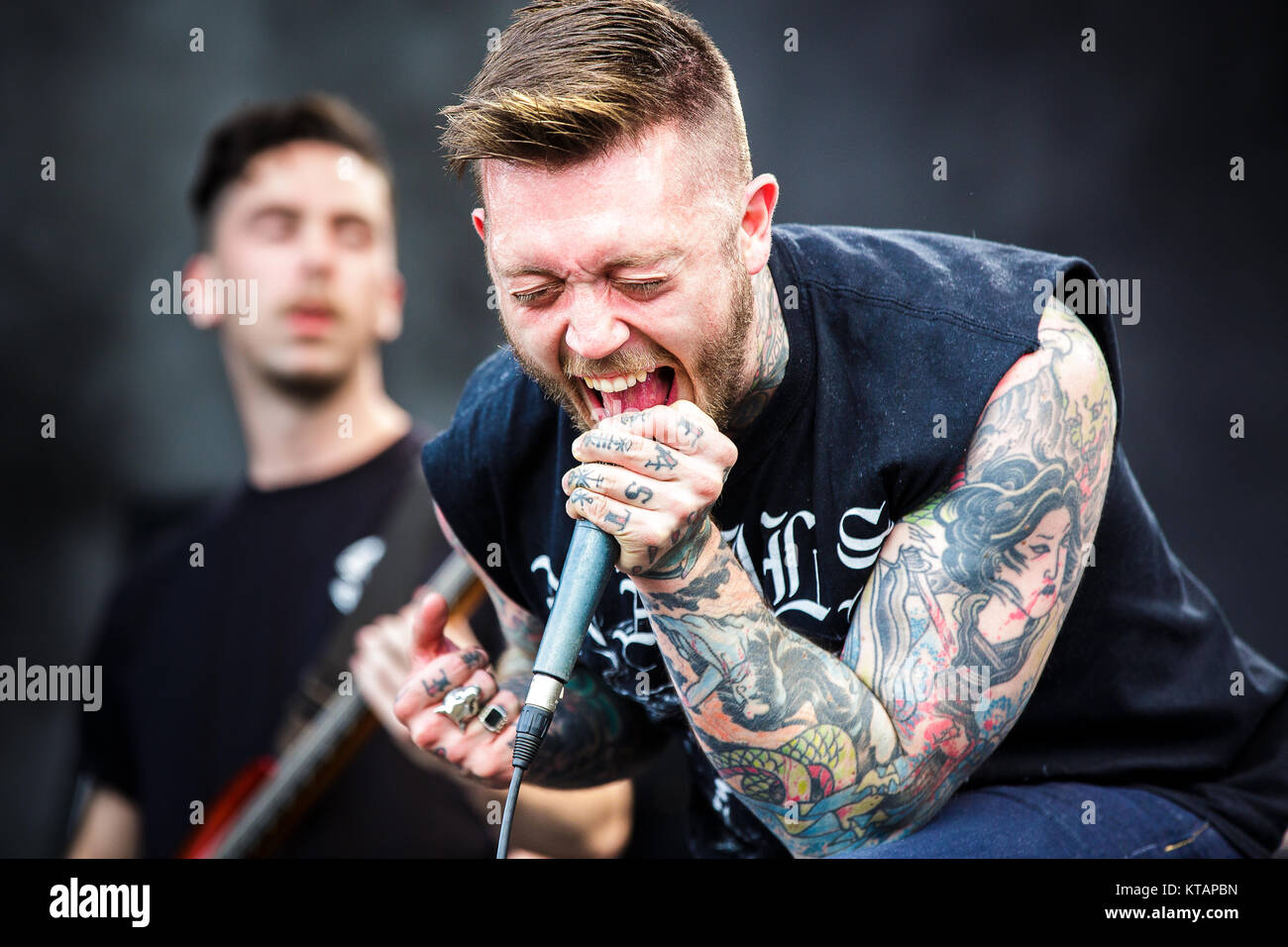 Krokodil band hi-res stock photography and images - Alamy
